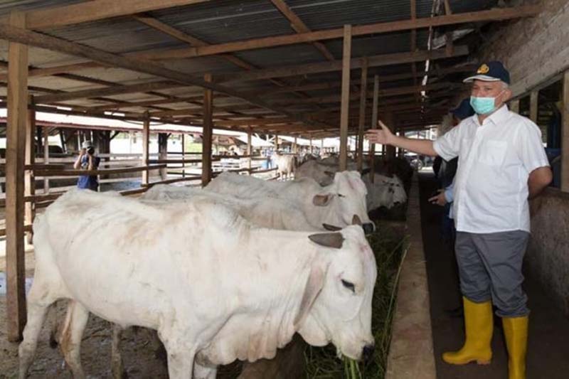 Kerugian Negara Korupsi Sapi Kurus Rp1,2 Miliar | Waspada Aceh