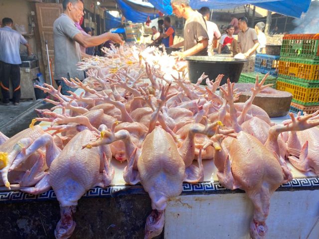 Harga Ayam di Banda Aceh Tetap Stabil Meski Permintaan Meningkat ...